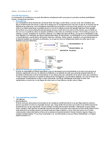 T5B-Nociceptores.pdf