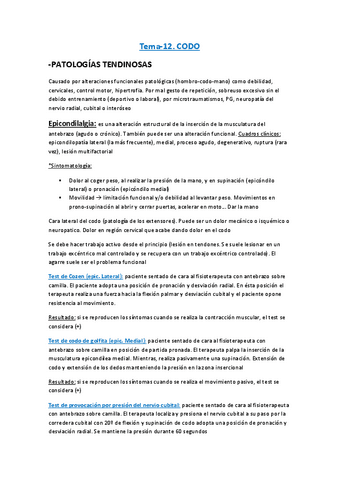 TEMA-12.-CODO.pdf