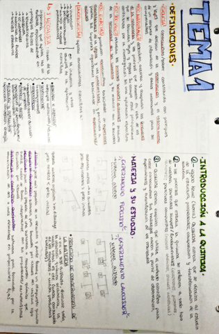 resumen-T1-conceptos-basicos.pdf