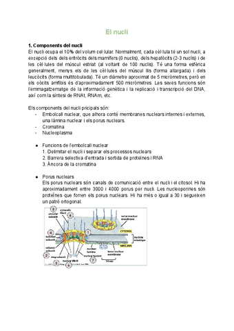 Tema-4-biocel.pdf