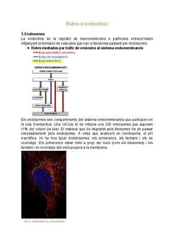Tema-8-biocel.pdf