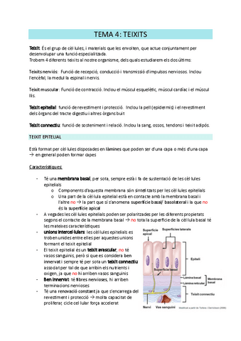 TEMA-4.-TEIXITS.pdf