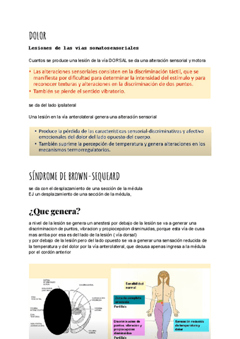 3.-dolor.pdf