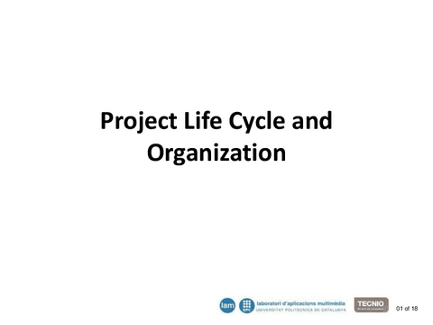 Project-Life-Cycle-and-OrganizationSLIDESshort.pdf
