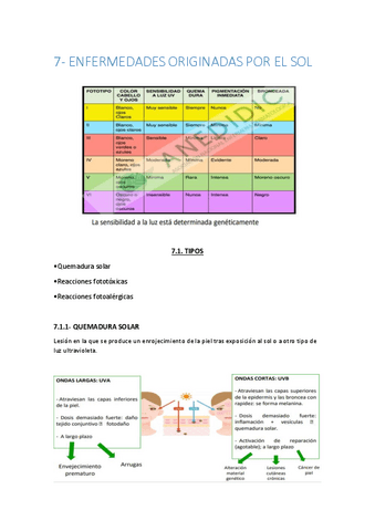 7-DERMA.pdf