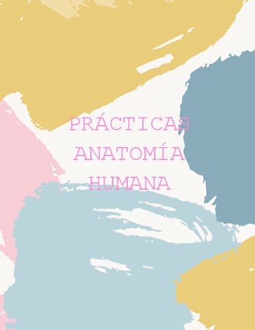PRACTICAS-ANATOMIA-HUMANA.pdf