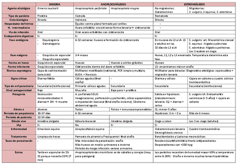 Cuadro-resumen-equidos.pdf