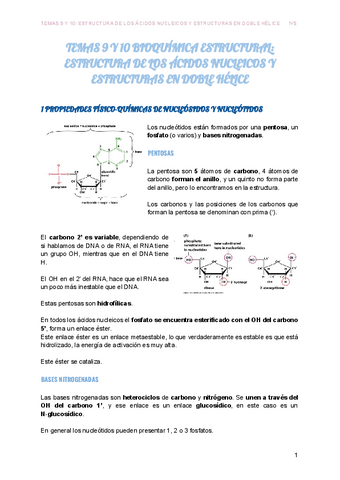 TEMAS-9-Y-10-BIOQUIMICA-ESTRUCTURAL-ESTRUCTURA-DE-LOS-ACIDOS-NUCLEICOS-Y-ESTRUCTURAS-EN-DOBLE ...