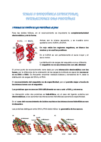TEMAS-11-BIOQUIMICA-ESTRUCTURAL-INTERACCIONES-DNA-PROTEINAS.pdf