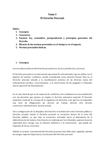 Tema-1-El-Derecho-Procesal-Ana-Maria-Chocron.pdf