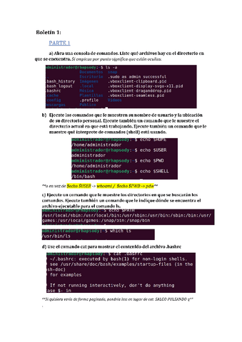 BOLETIN-1 CAPTURAS-RESUELTO--EXAMEN.pdf
