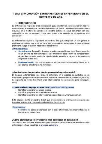 TEMA-6-VALORACION-E-INTERVENCIONES-ENFERMERAS-EN-EL-CONTEXTO-DE-APS-1.pdf
