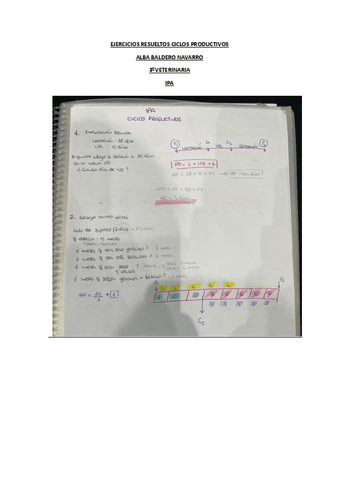 EJERCICIOS-RESUELTOS-CICLOS-PRODUCTIVOS.pdf