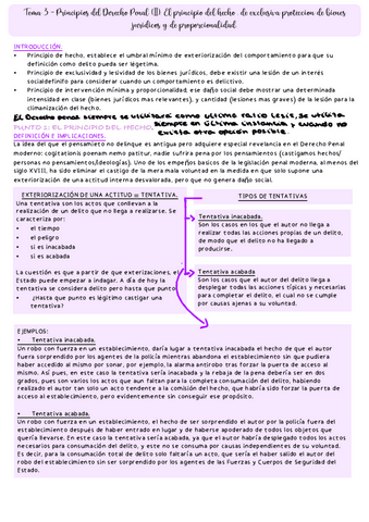 TEMA-3-PRINCIPIOS-DEL-DERECO-PENAL-II..pdf