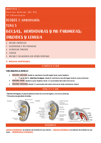 Tema-5.-Bolsas-hendiduras-y-mb-faringeas-tiroides-y-lengua..pdf