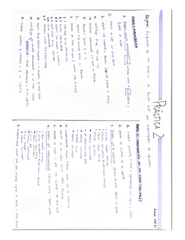 Resumen-grafico-Practica-2.pdf