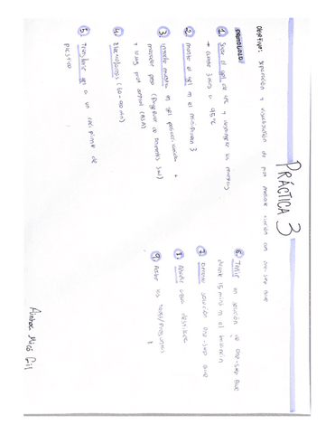 Resumen-grafico-Practica-3.pdf