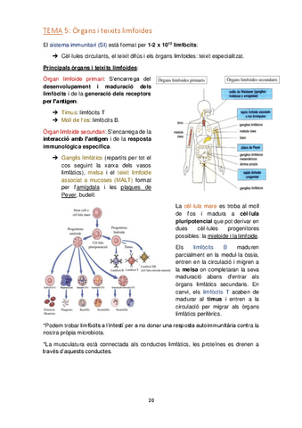 Tema-5-immuno.pdf