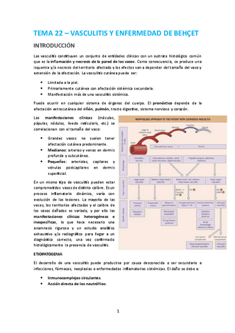 Tema-22-Vasculitis-y-Behcet.pdf