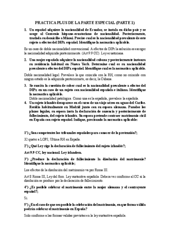 PRACTICA-PLUS-PARTE-ESPECIAL-1.pdf