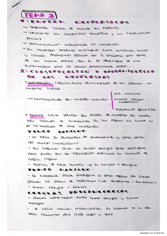 Tema-3-EDP-completo.pdf