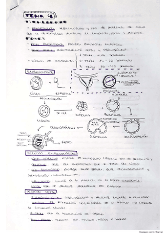 Tema-4-EDP-completo.pdf