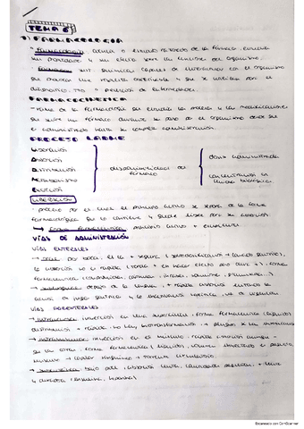 Tema-6-EDP-completo.pdf