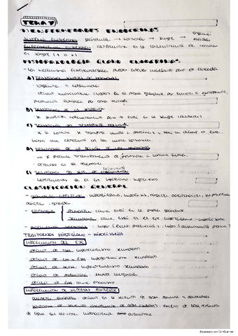 Tema-7-EDP-completo.pdf