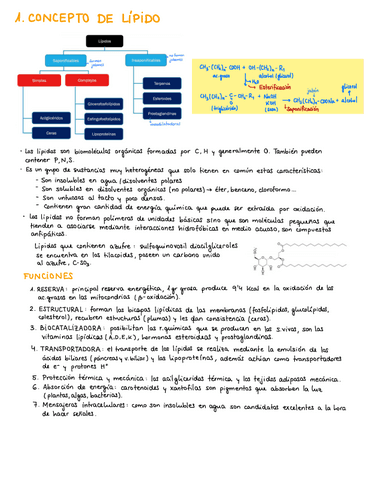 TEMA-3-ESTRUCTURA-Y-FUNCION-DE-LOS-LIPIDOS.pdf
