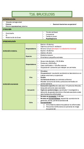 T16.-BRUCELOSIS.pdf