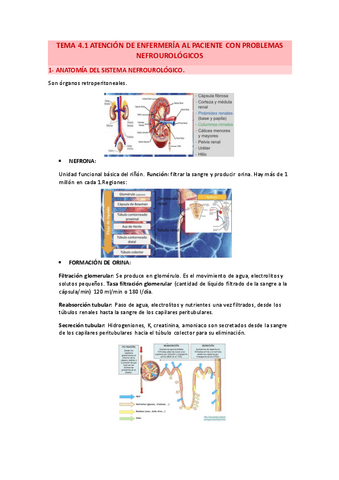 Tema-4-completo.pdf