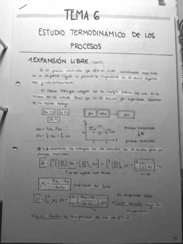 Tema 6 termo.pdf