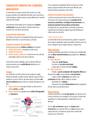 11.-Miocardio-y-esqueleto-fibroso-del-corazon.pdf