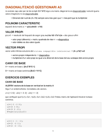 DIAGONALITZACIO-questionari-A3.pdf