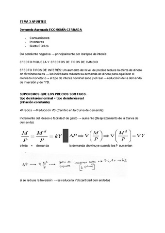 TEORIA-T3-MACRO-1.pdf