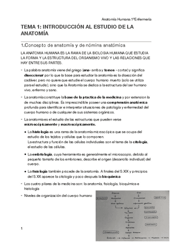 T1.-Introduccion..pdf
