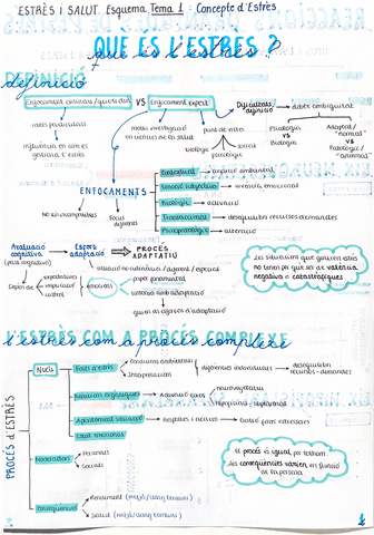 TEMA 1 (esquema).pdf