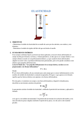 Elasticidad.pdf
