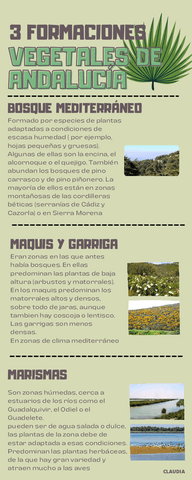 Green-and-Brown-Monstera-Plant-Fun-Facts-Infographic.pdf