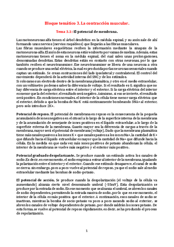 Bloque-tematico-3.pdf