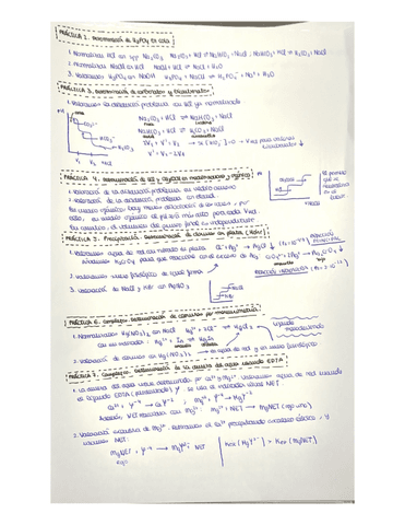 Resumen-practicas-lab.pdf