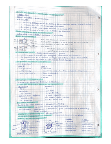 1R-PARCIAL-MICRO.pdf