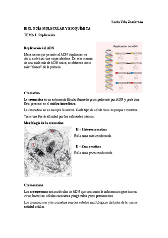 BMB-Tema-1.pdf