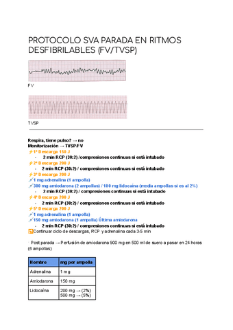 PROTOCOLO-SVA-PARADA-EN-RITMOS-DESFIBRILABLES-FVTVSP-1.pdf