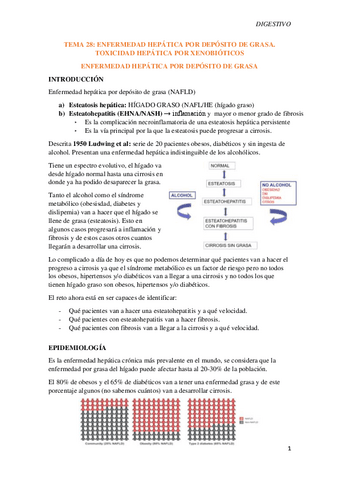T28-Enfermedad-hepatica-grasa-no-alcoholica.pdf