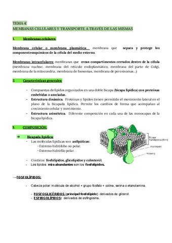 Tema-4-bio-membranas-celulares.pdf