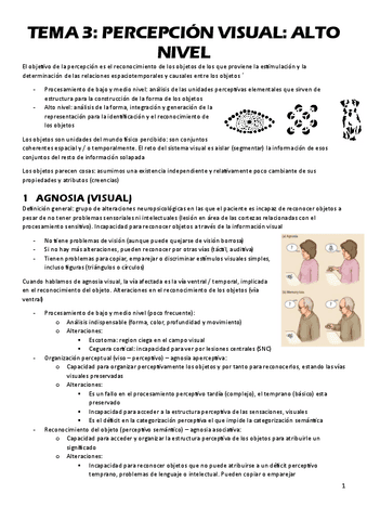 TEMA-3.-Percepcion-visual-alto-nivel.pdf