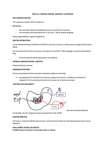 Fisiologia Animal Tema 11 Pdf