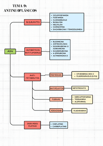 Tema-9-antineoplásicos e inmunidad.pdf