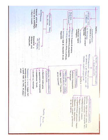 Esquema-Repas-T1-Ade.pdf